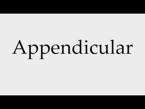 How to Pronounce Appendicular