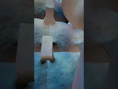 Angular Momentum