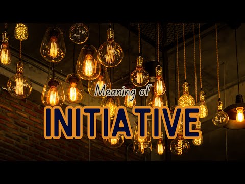 What is the meaning of Initiative?