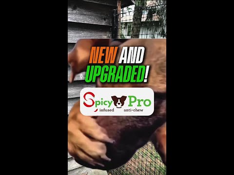 The Ultimate engineered Dog Fence kits ? Meet the Spicy Pro Poly by Pet Playgrounds