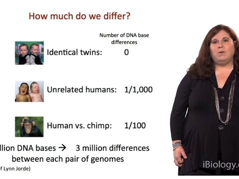 Terminology for Study of Evolution - Sarah Tishkoff (U. Pennsylvania)