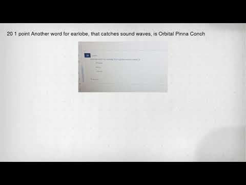 20 1 point Another word for earlobe, that catches sound waves, is Orbital Pinna Conch