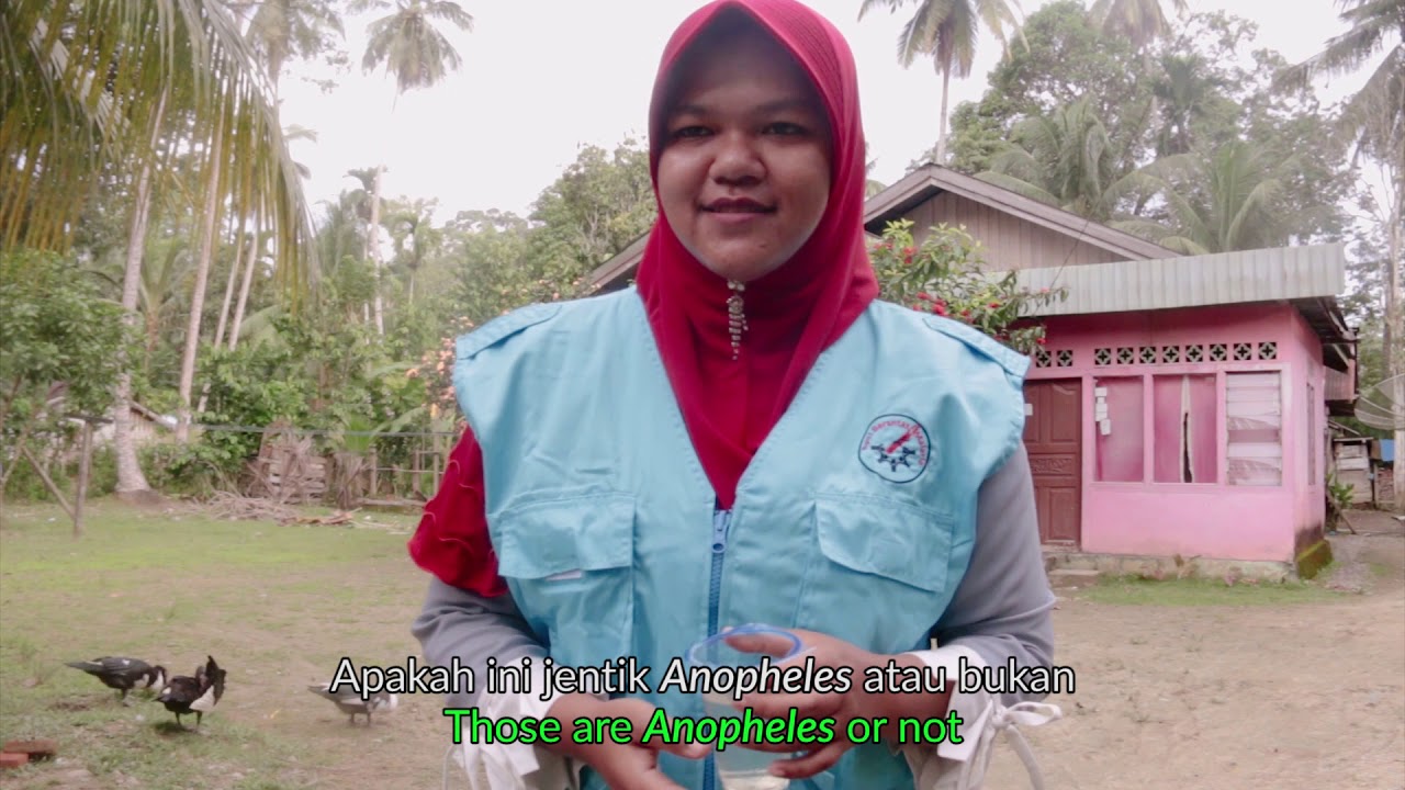 Ending malaria in Indonesia