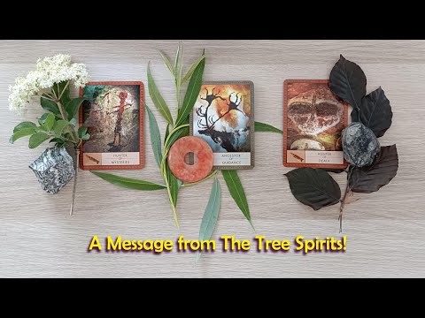 A Message from the Trees with Incredibly Detailed Information????????????Pick A Card Tarot