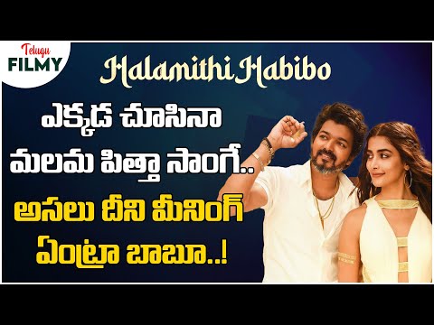 Meaning Of Halamithi Habibo | Thalapathy Vijay | Pooja Hegde | Beast Movie | Telugu Filmy