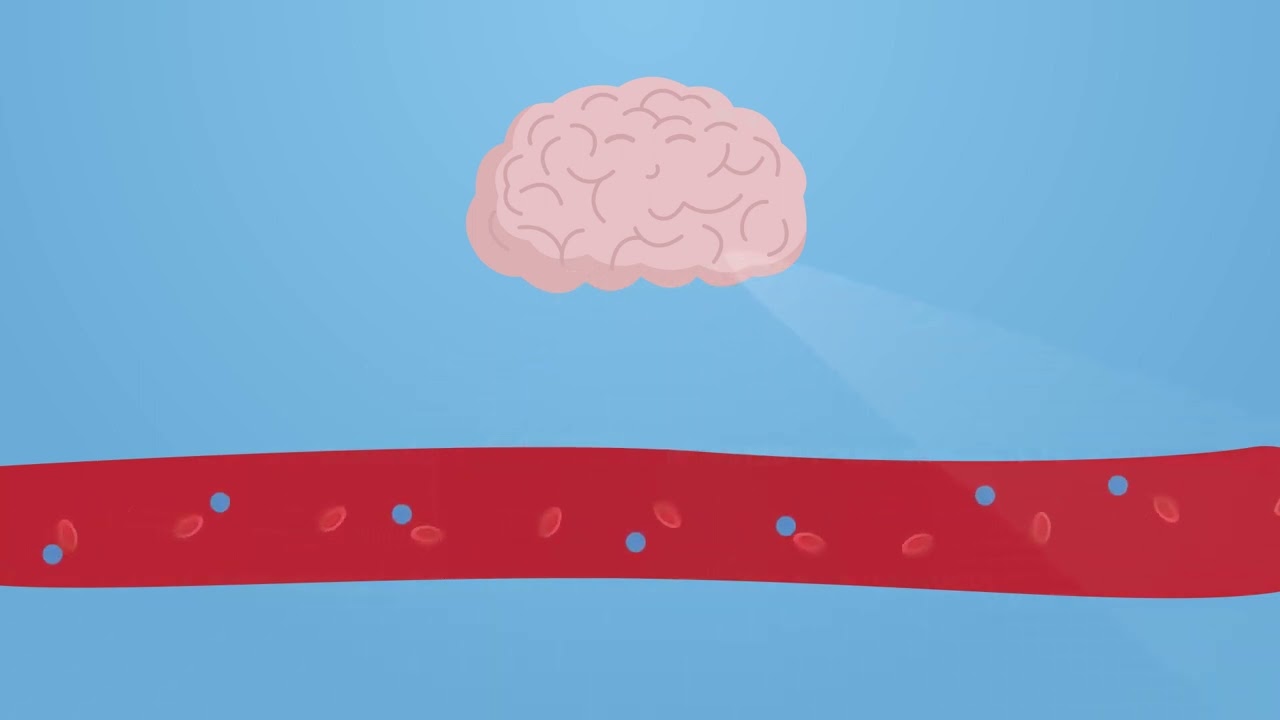 Osmoregulation - kidneys - WJEC GCSE Biology - ENGLISH