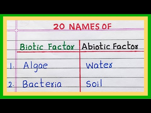 Biotic and Abiotic Factors | 20 Examples of biotic and abiotic components