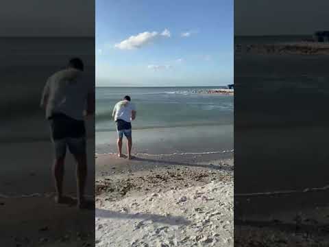 Naples FL