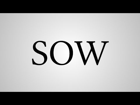 What Does "SOW" Stand For?