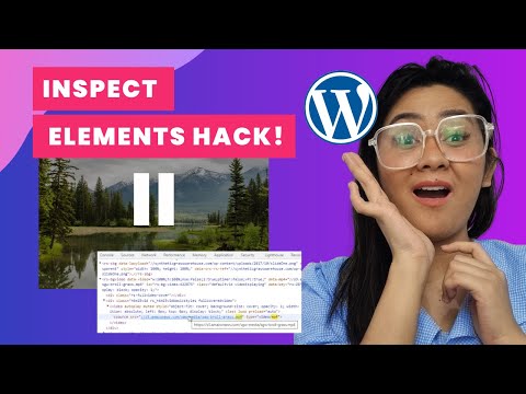 WordPress Video Background 101 Tutorial: How To Download Background Video In WordPress