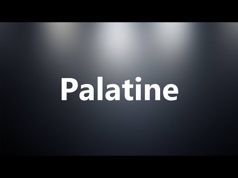 Palatine - Medical Definition and Pronunciation