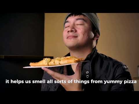 My Five Senses 3 | Exploring the Sense of Smell | Fun Learning For Kids