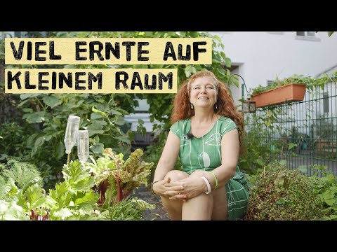 Gemüse mitten in der Großstadt anbauen und viel Ernten. Selbstversorgung und Urban Gardening in Köln