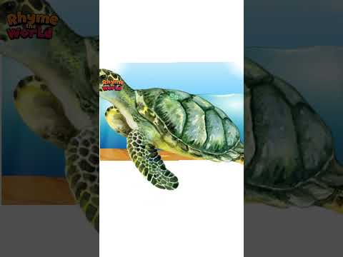 Sea Animals Song For Kids