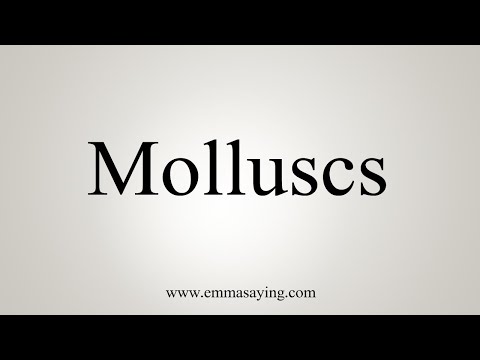 How To Say Molluscs