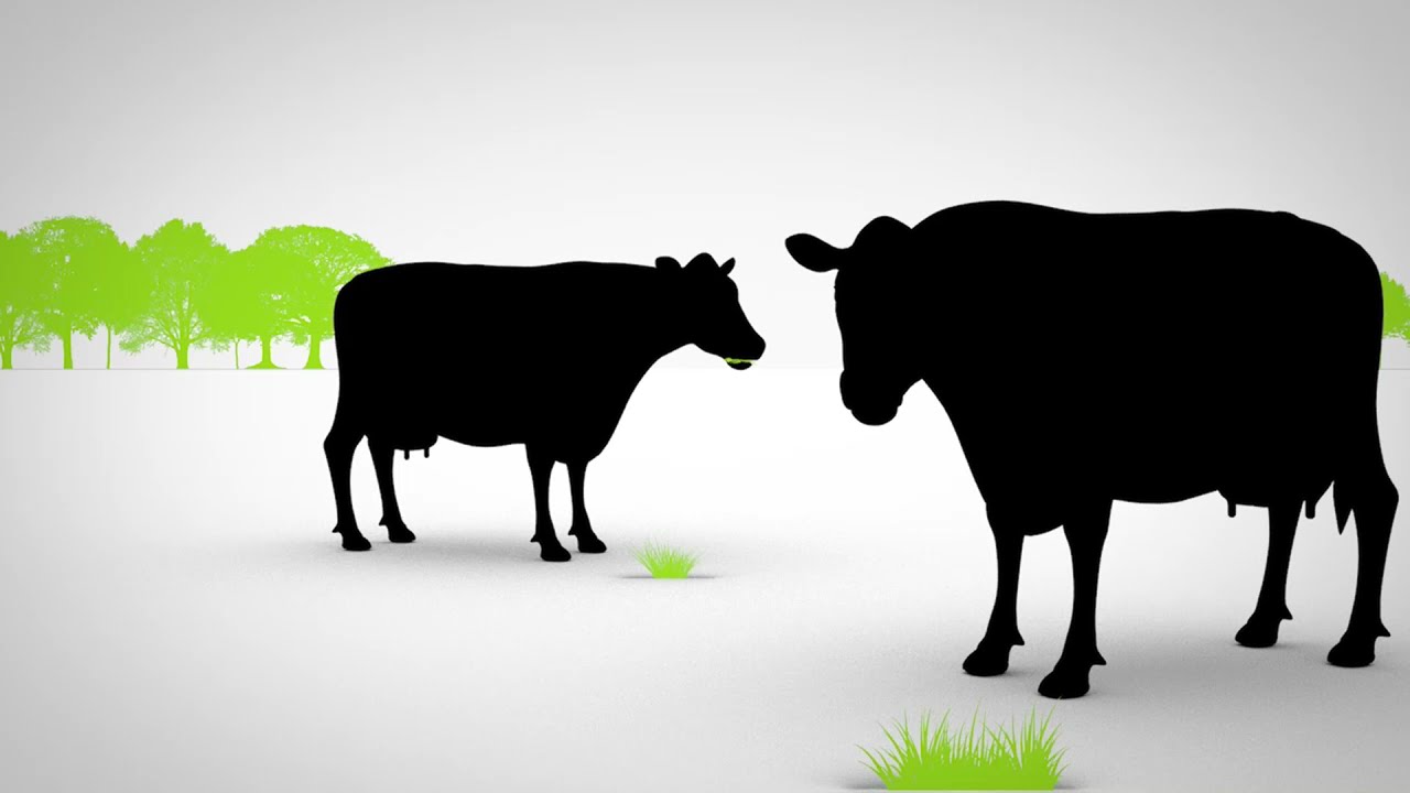 Creating a wintering plan