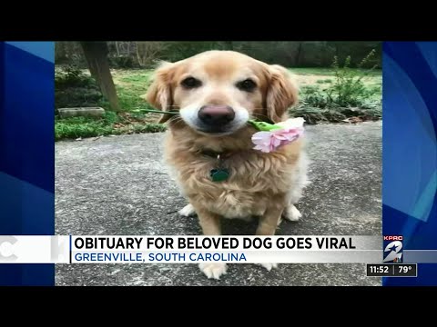 Obituary for beloved dog goes viral