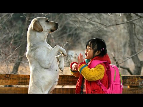 This Korean Movie Will Break Your Heart | Korean Movies in English