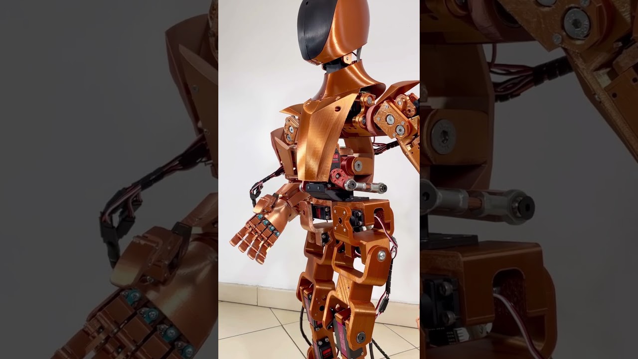 Introducing Youbionic X2