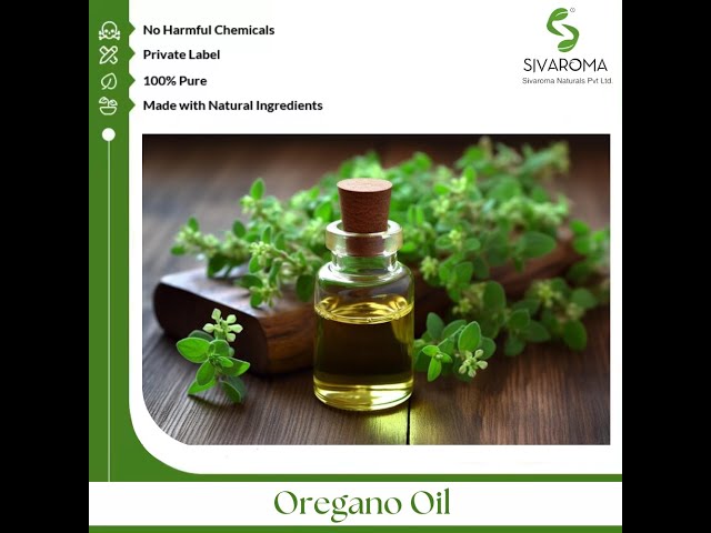 Essential Oils - Chaulmoogra Essential Oil Manufacturer from Noida