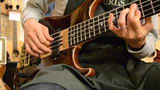 Alembic Europa Bass Guitar - What To Know & Where To Buy | Equipboard