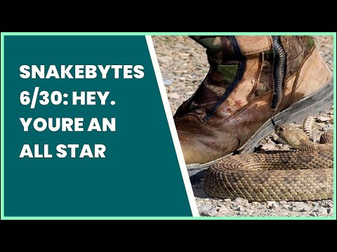 SNAKEBYTES 6/30: HEY. YOURE AN ALL STAR