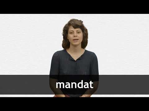 English Translation of “MANDAT” | Collins French-English Dictionary