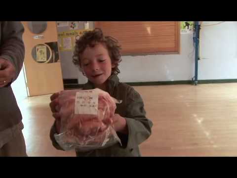 Stroudco - Local Food Distribution