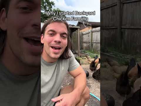 Why I Have Backyard Chickens - and You Should Too! #backyardchickens #chickens