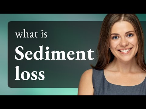 Understanding "Sediment Loss": A Guide for English Learners