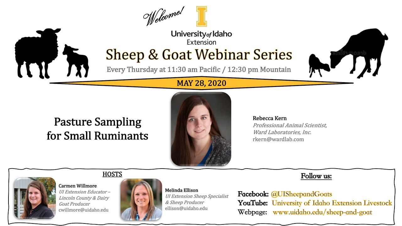 Pasture Sampling for Small Ruminants (UI Extension Sheep & Goat Webinar Series)