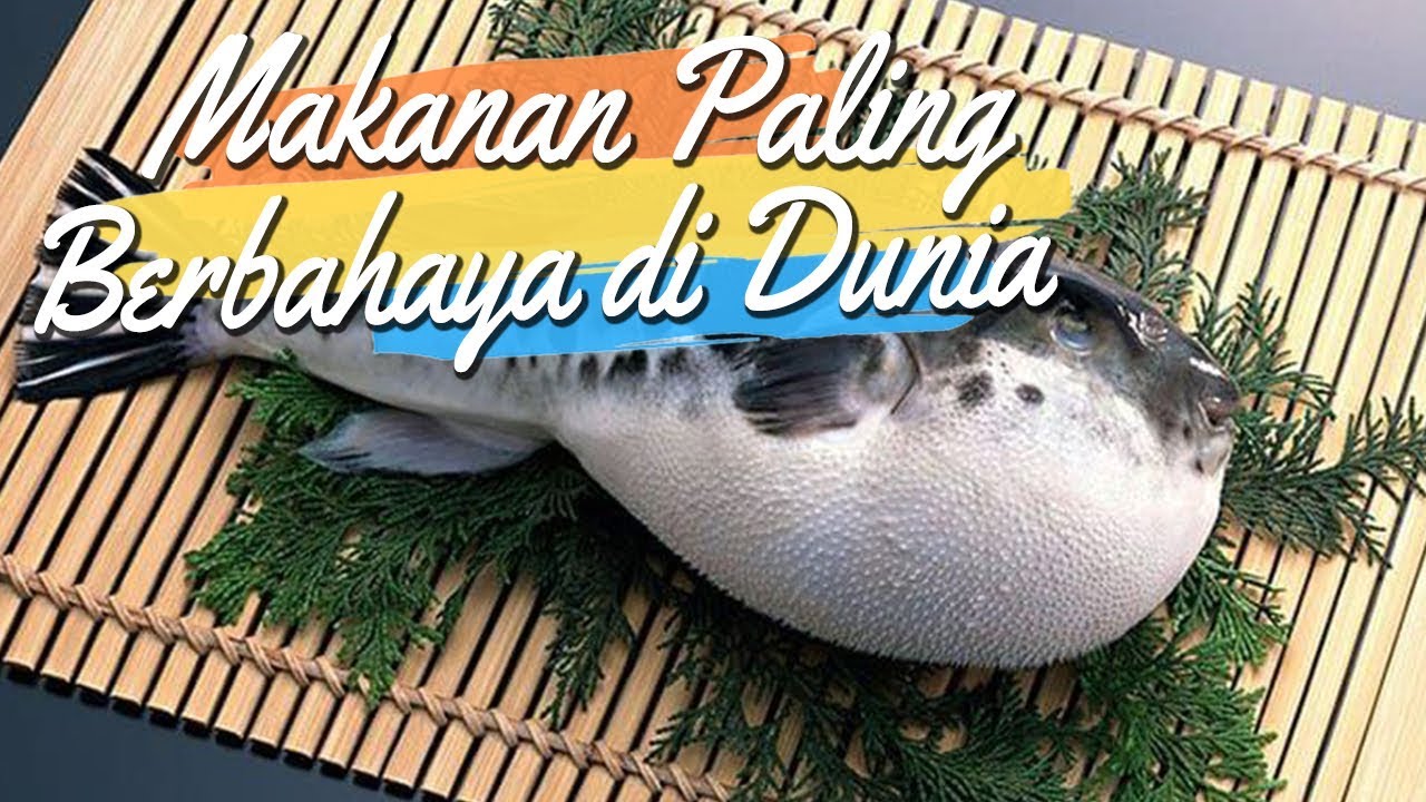 9 Makanan Berbahaya di Dunia, Ada yang Menjijikkan dan Menyebabkan ... 9 Makanan Berbahaya di Dunia, Ada yang Menjijikkan dan Menyebabkan ...