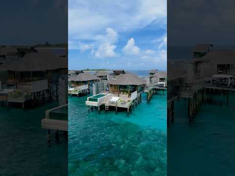 A once in a lifetime adventure to The Maldives on board Qatar Executive ๐ฉ๏ธ ๐๏ธ #QatarAirways