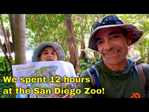 Is the San Diego Zoo worth the high ticket price?