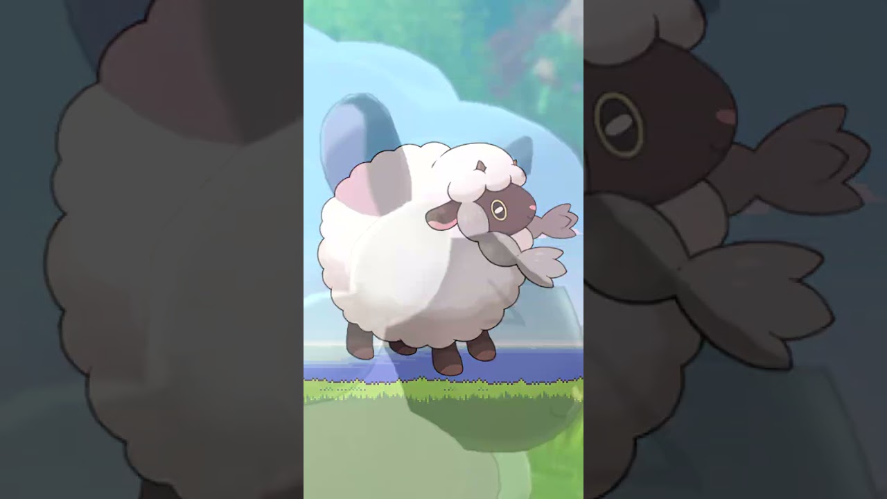WOOLOO FACTS #pokemonscarletandviolet #pokemonswordshield #wooloo  #pokemonsword #pokemonshield