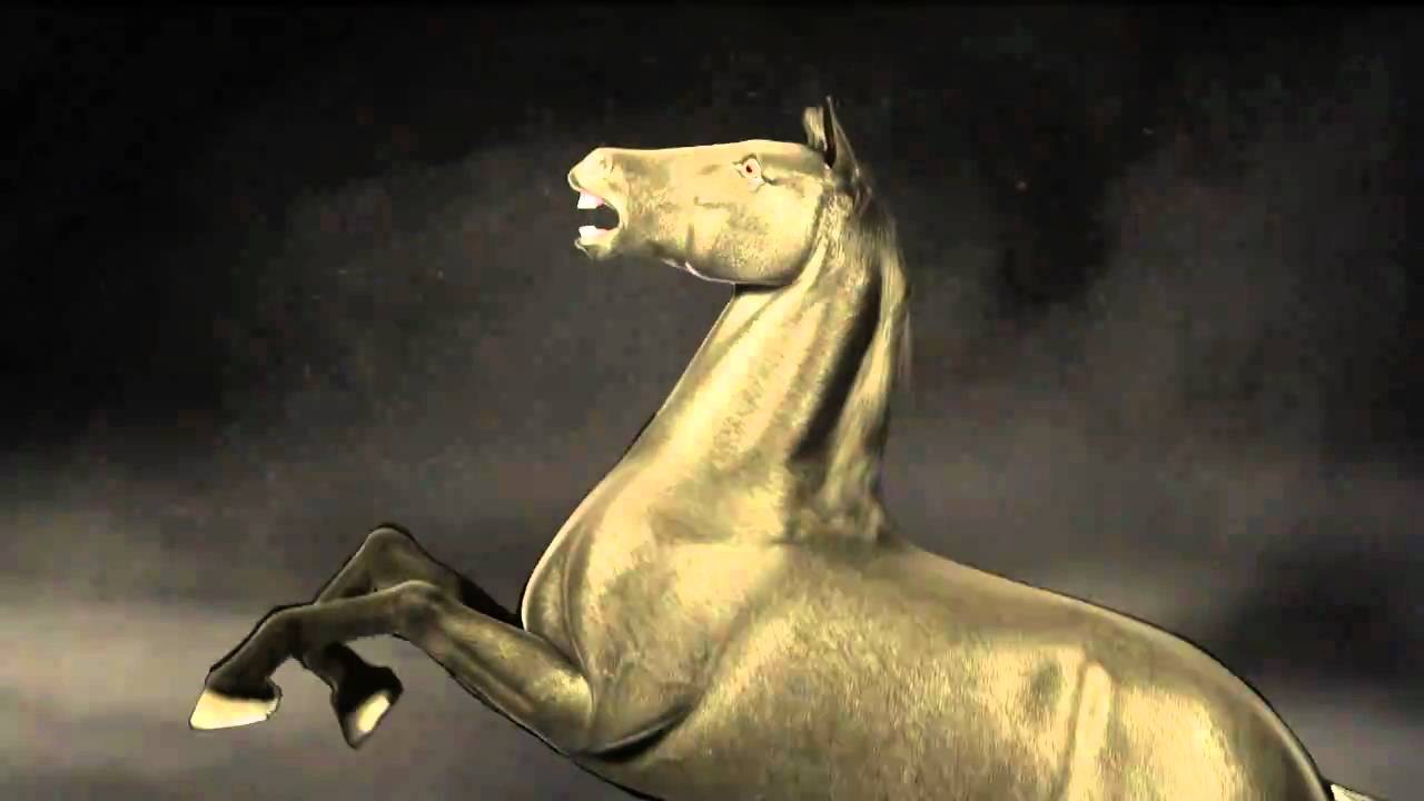 Continental Tire Logo Animation