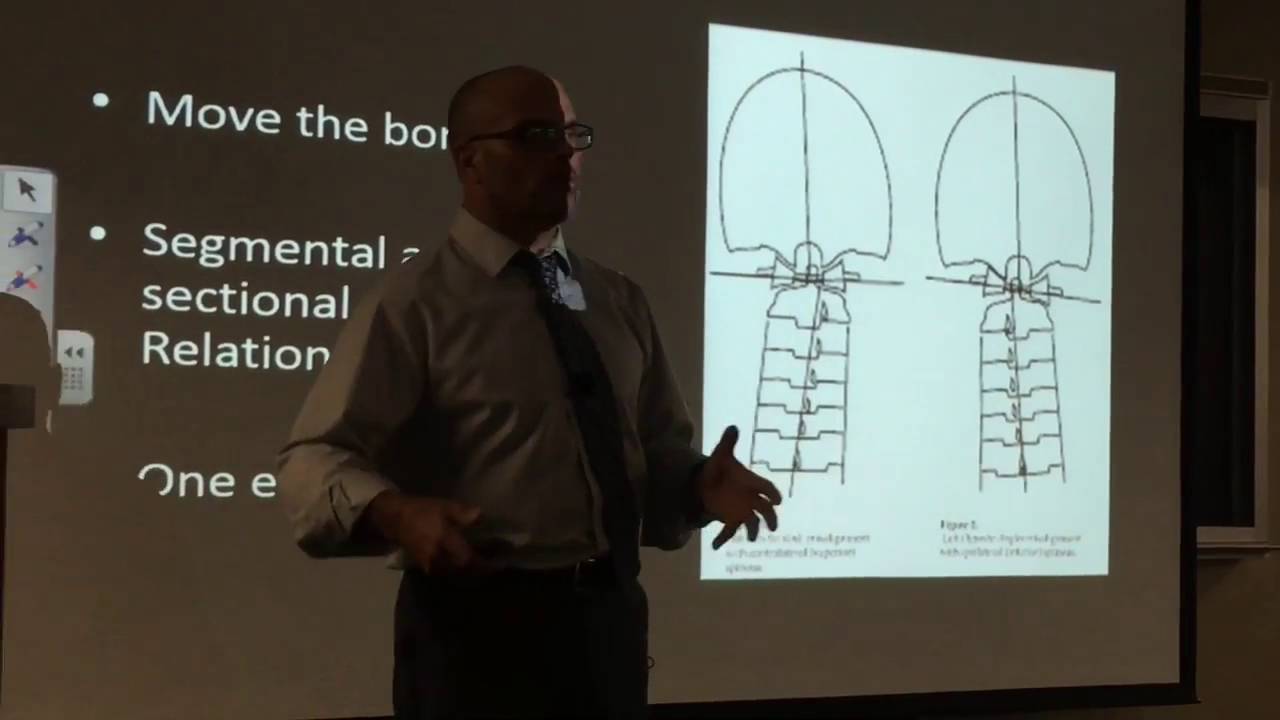 Qsm3   Part 1 Dr  Friedman Upper Cervical Chiropractic