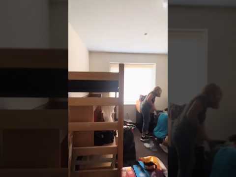 Dorm room glow up #bgsu #collegelife #dormitory #students #college #campus #ohio #shorts