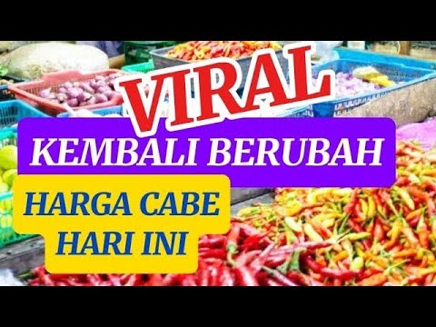 KEMBALI BERUBAH...!!! HARGA CABE HARI INI, 23 JUNI 2025