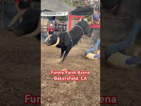 🎯🐂Bullfighter makes a great save!!! #bullriding #bullfighting #pbr #rodeo #video