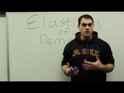 Elasticity of Demand Understanding the Number Example