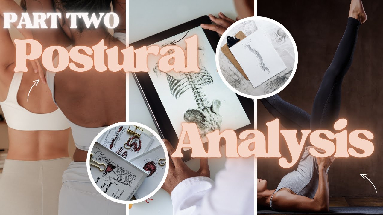 Study the Postural Analysis for Your Pilates Exam Part Two: Front and Back View