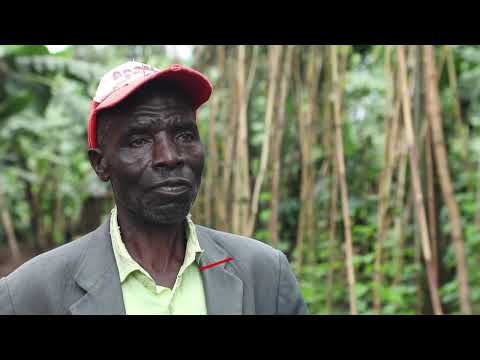 Bunyangabu Beekeepers Cooperative