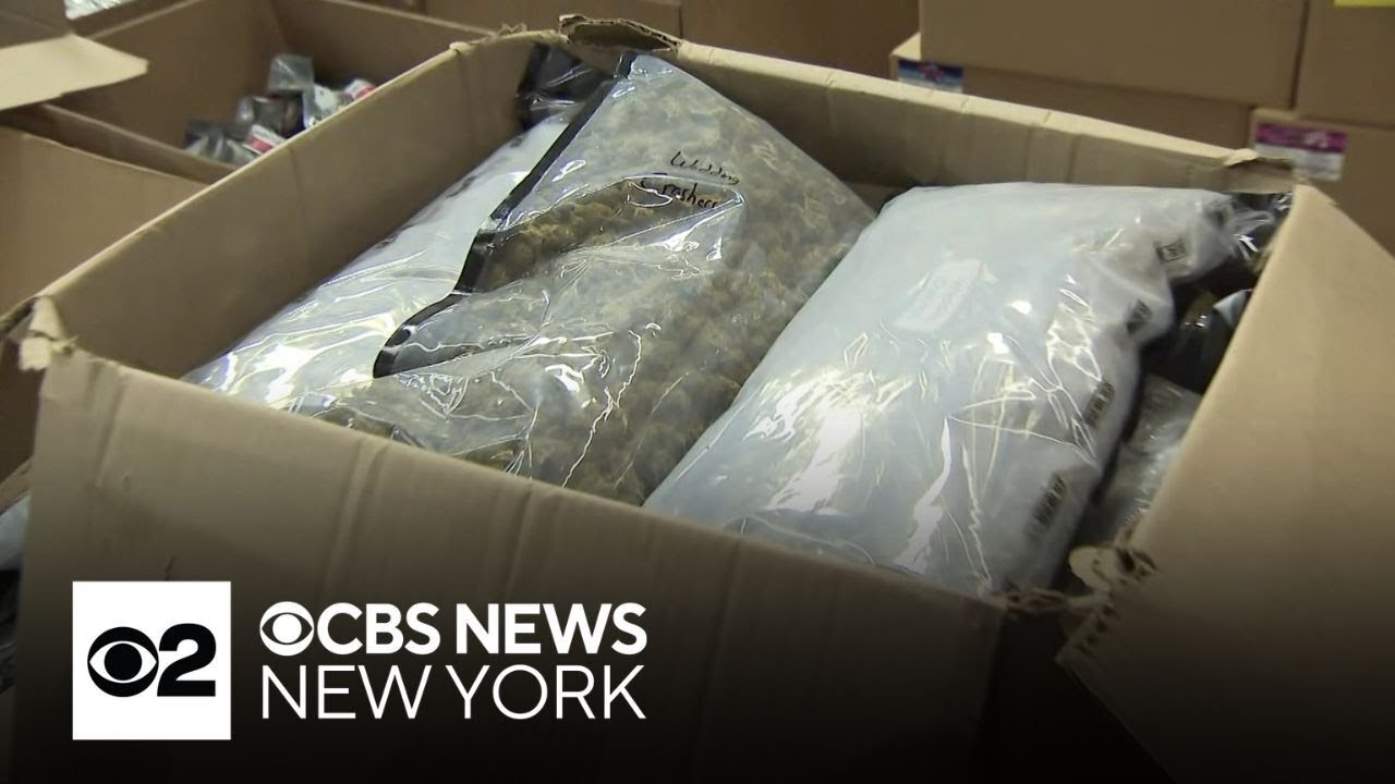 More than 100 pounds of illegal cannabis found in Queens warehouse
