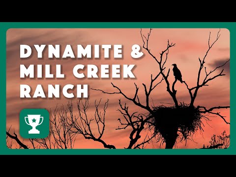Dynamite & Mill Creek Ranch - 2024 Lone Star Land Steward