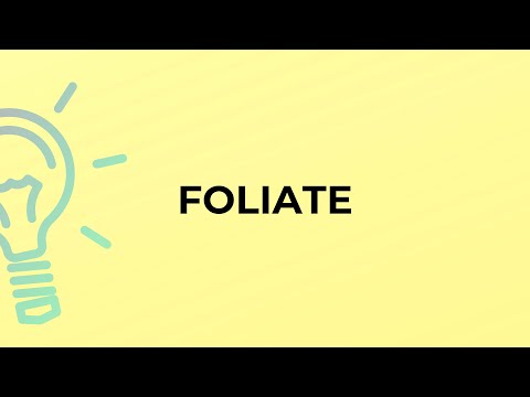 What is the meaning of the word FOLIATE?