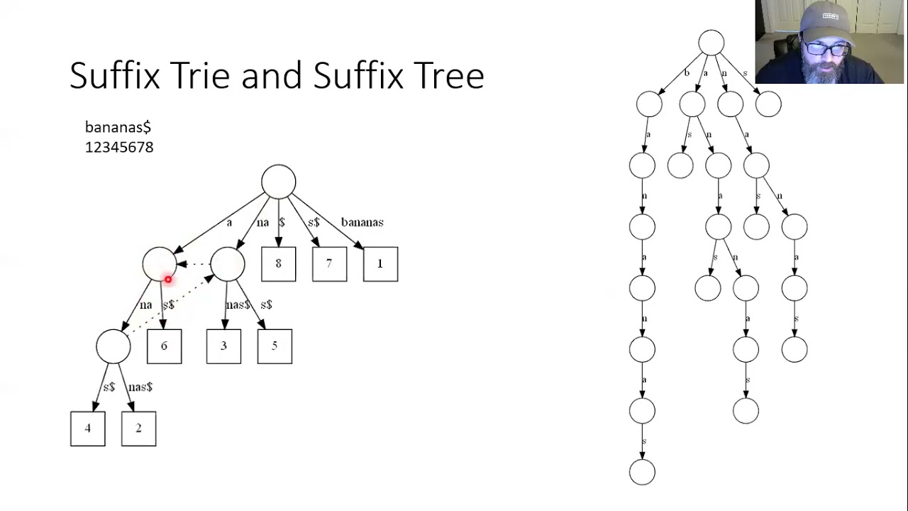 Understanding Ukkonen's Algorithm: Efficient Suffix Tree Construction | Galaxy.ai