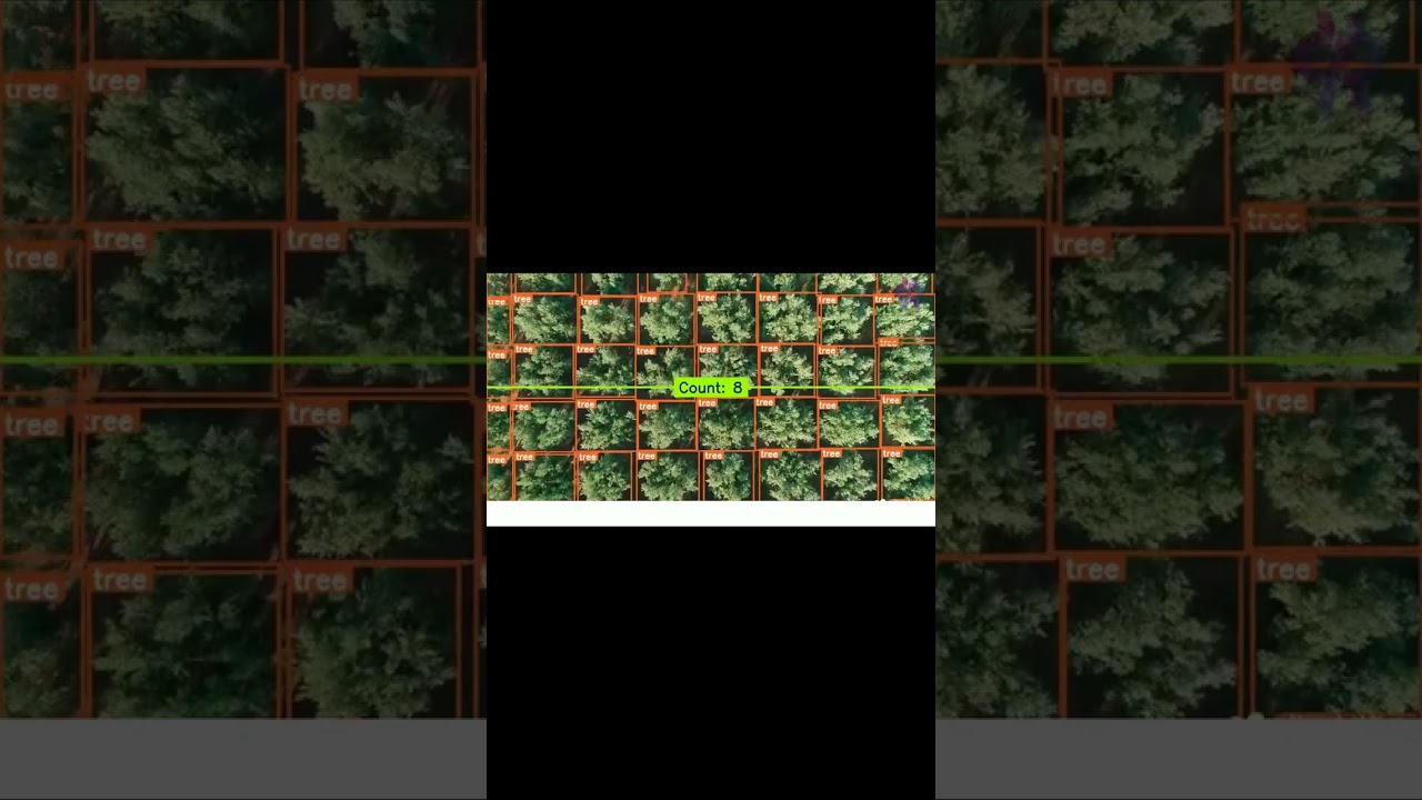 Real Time Tree Counting with YOLOv12 for Forest Management