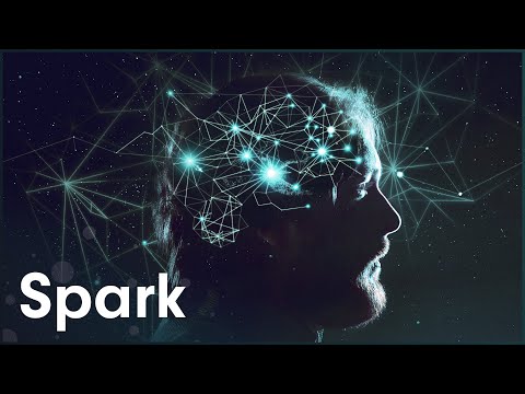 How Much Can The Human Brain Learn