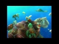 Opening To The Incredibles Dvd 2005 Watch HD Mp4 Video Download Free
